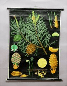 How to Make Your Own Poster